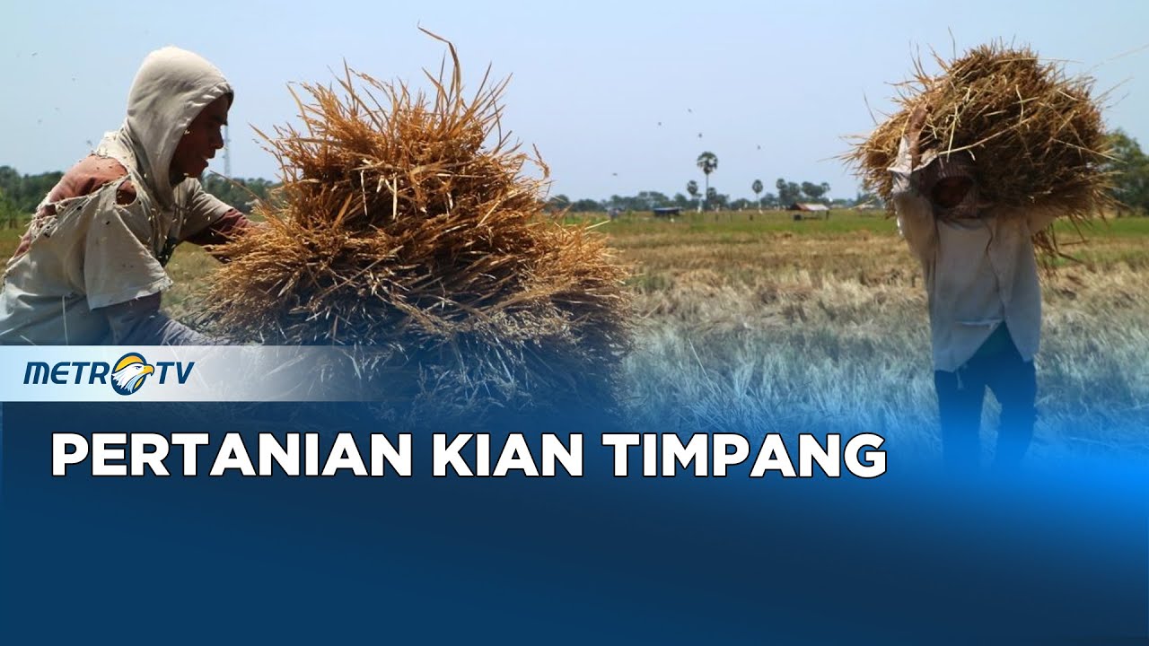 Pertanian Kian Timpang - metrotvjatim.com